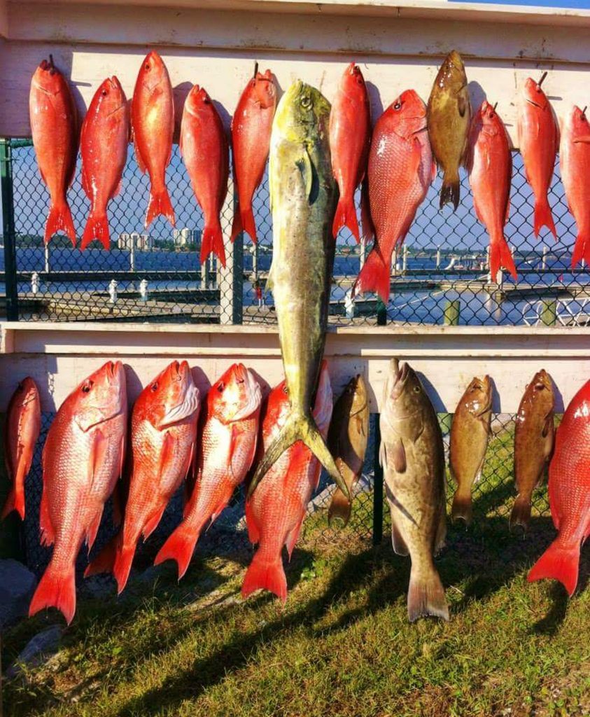 Posts - Reel Kill Charters